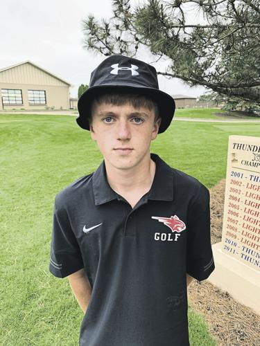 TH all-area boys golf team: Harwick bursts onto scene for Beckman ...