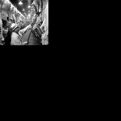 Unpacking their memories: 'People of the Pack' book to debut | Dubuque ...