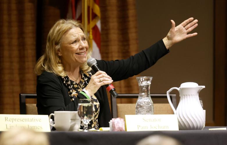 Dubuque-area Dems talk education, workforce during crackerbarrel | Tri ...