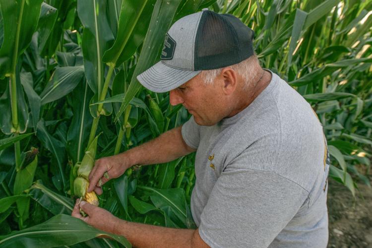 TH Farm Families of the Year: Hoeger farm produces corn, alfalfa ...