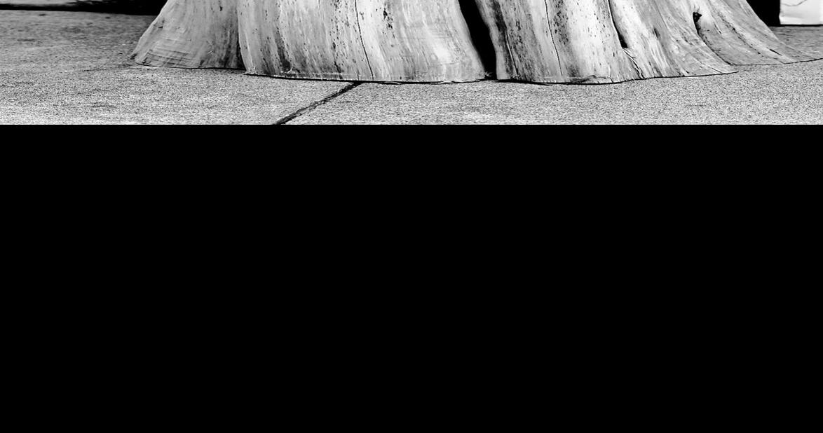 Stump | | telegraphherald.com