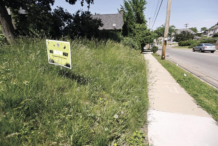 500 participate in No Mow May in Dubuque, weather prompts some changed ...