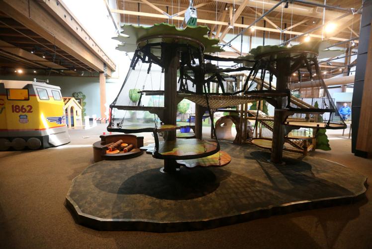 Mississippi River museum debuts traveling exhibit 'Forever Forest: Live ...