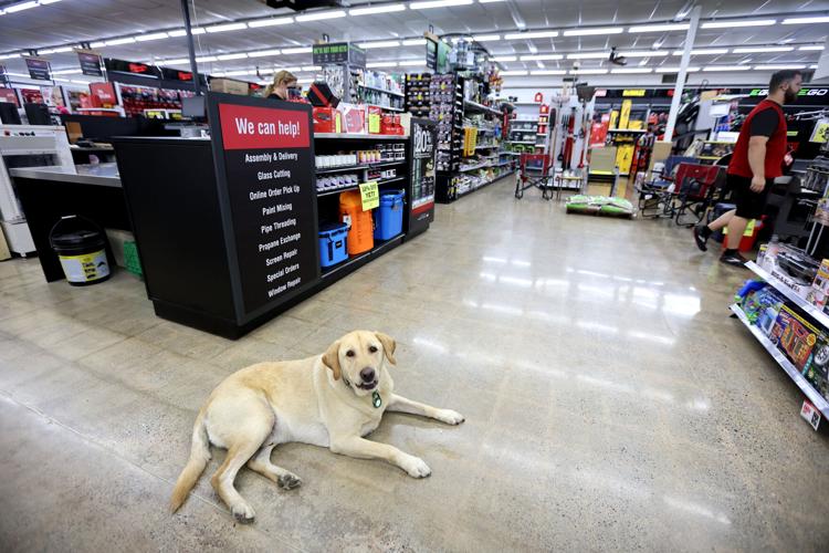Biz Buzz Monday: Platteville hardware store rounds out remodel | Tri ...