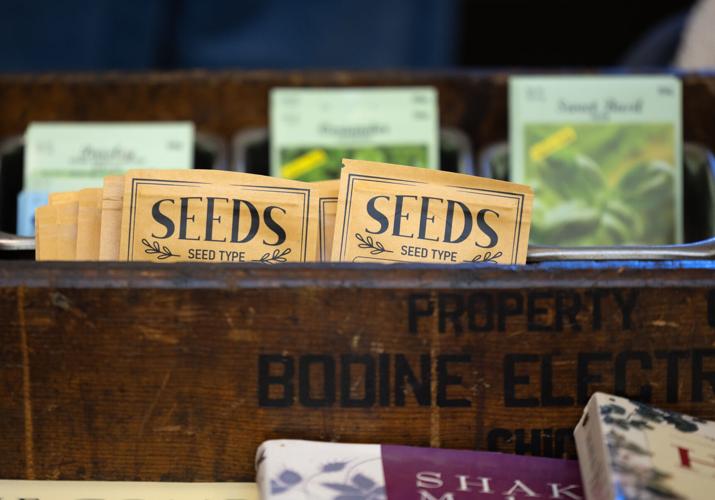 Dubuque seed swap promotes gardening, educates community | Tri-state ...
