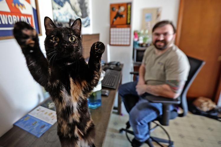 'Not those stereotypes': Number of people living paycheck-to-paycheck ...