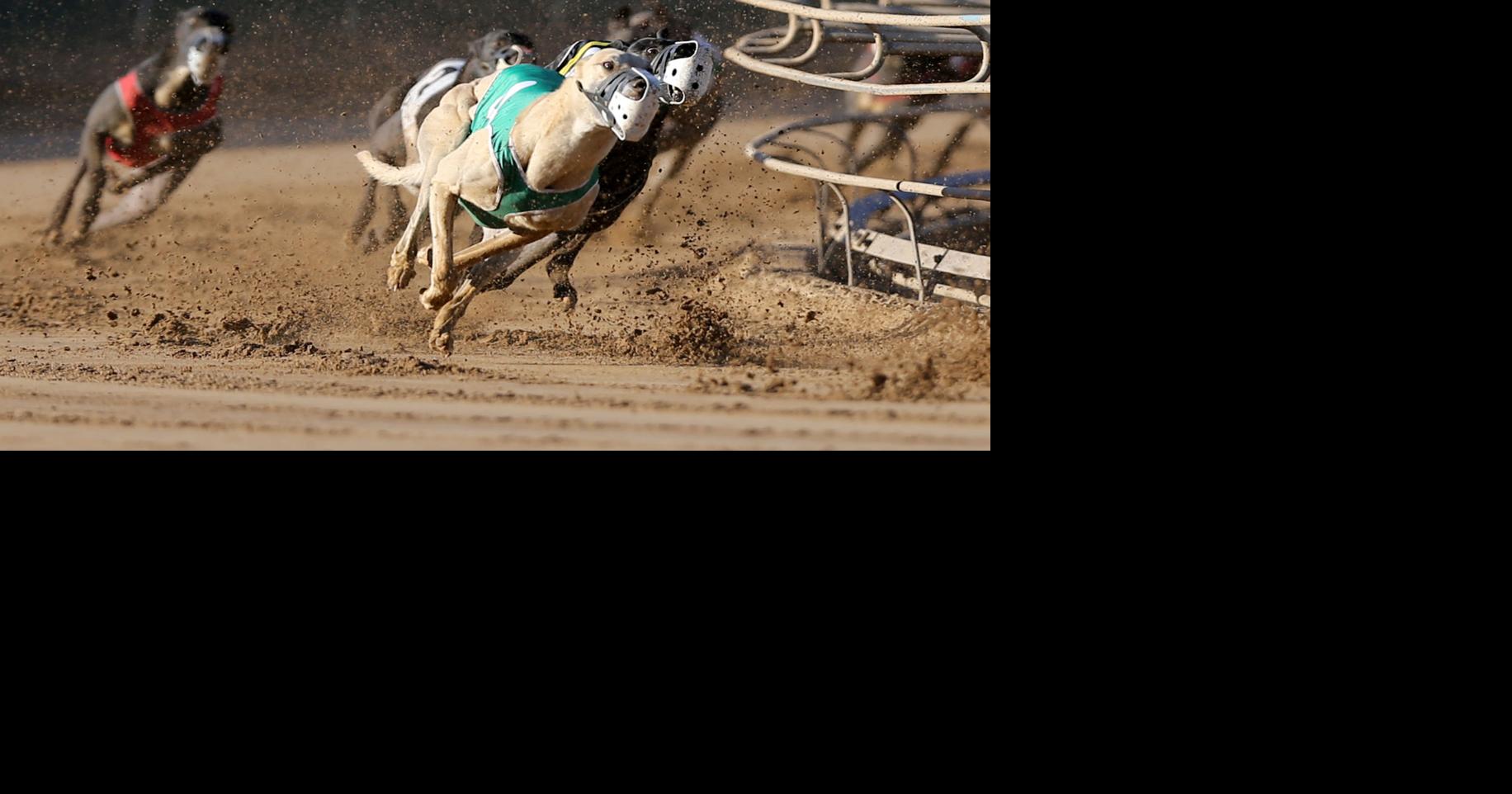 Dubuque council takes action related to roundabouts, annexation ...