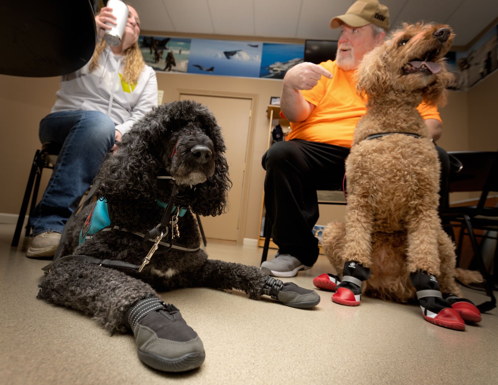 A Step of Faith: Dubuque couple trains service dogs for trauma ...