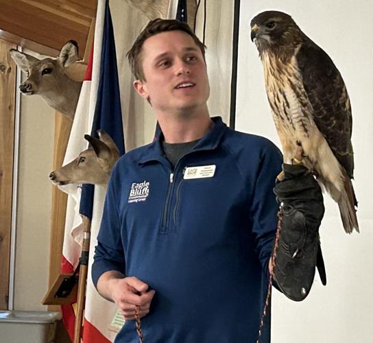'Amazing': Red-tailed hawk center of attention during Dubuque ...