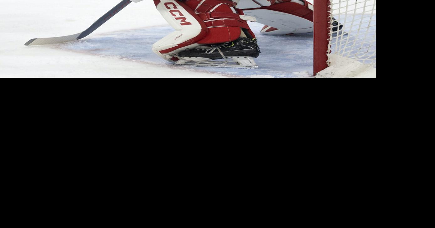 Saints goalie Reidler makes quick adjustment to pace of USHL | Local ...