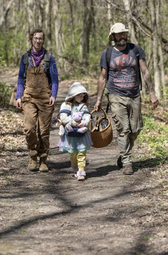 Eyes on the prize: Morel enthusiasts hunt for the elusive fungi ...