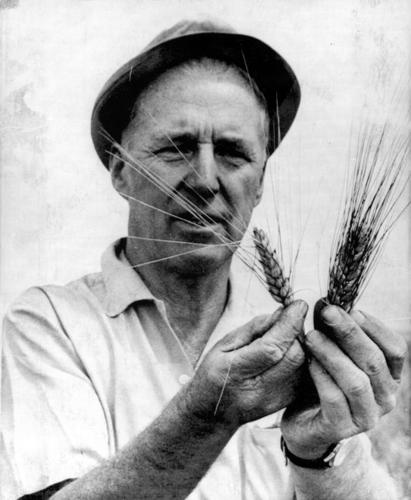 Native Iowan Borlaug enriched lives of millions worldwide | Features ...