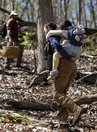 Eyes on the prize: Morel enthusiasts hunt for the elusive fungi ...