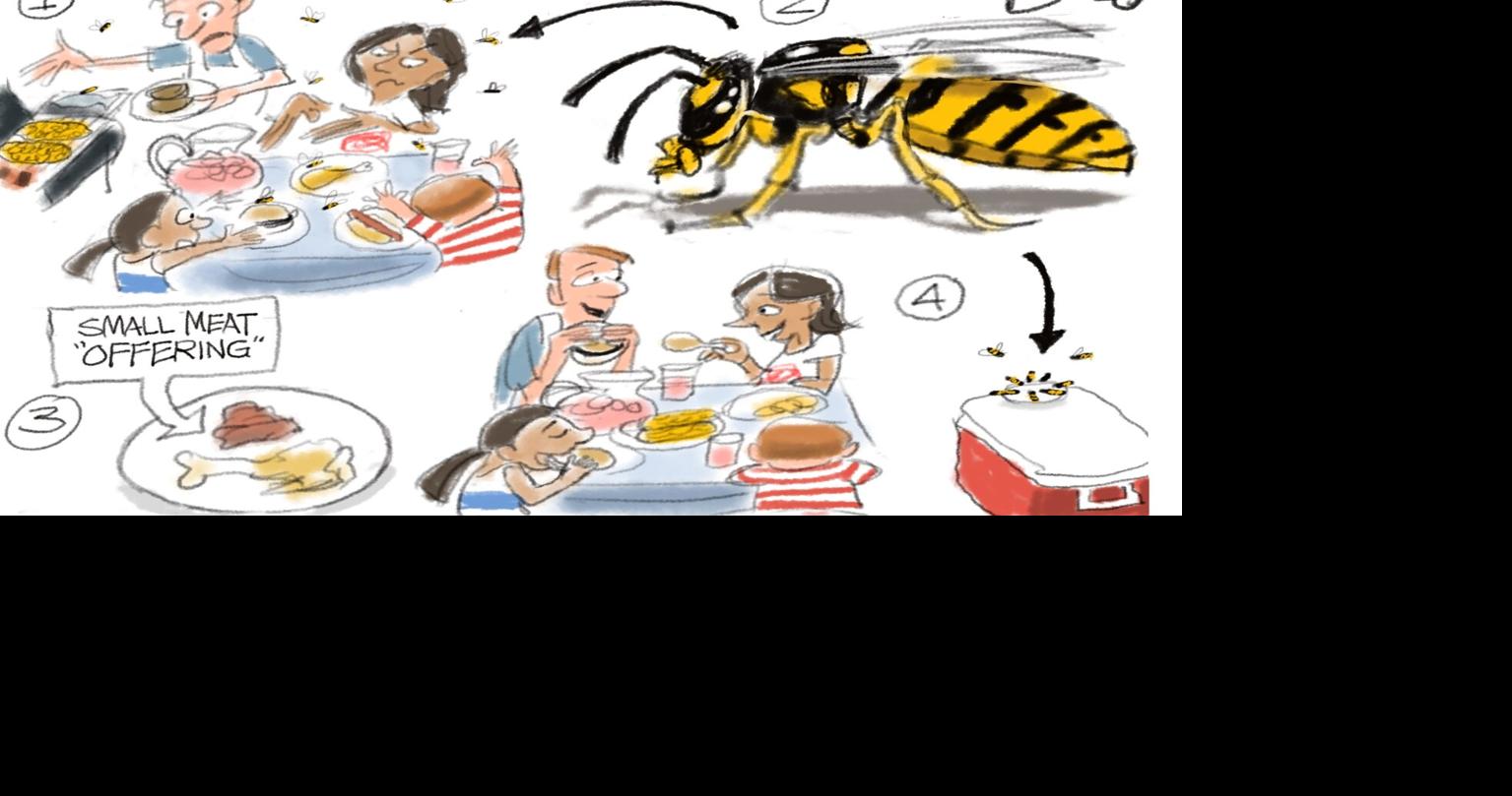 Bagley: Summer life hack | Opinion | telegraphherald.com