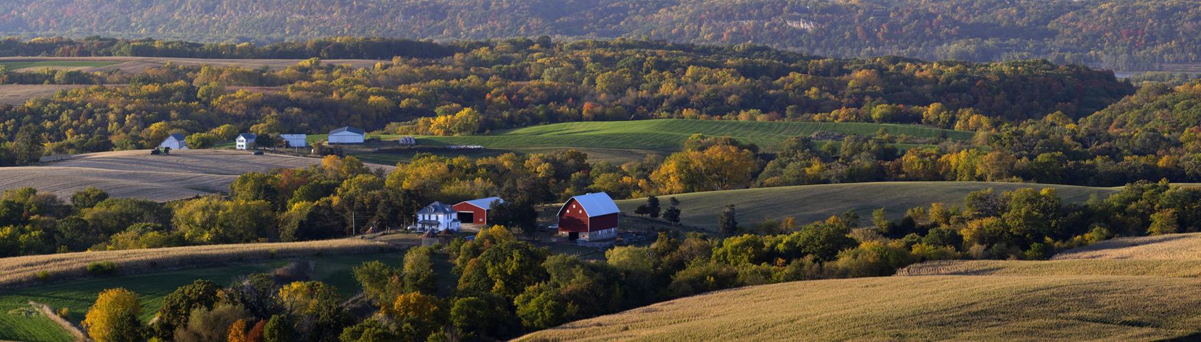 Leaf peeping: Changing colors of trees draws fall foliage fanatics ...