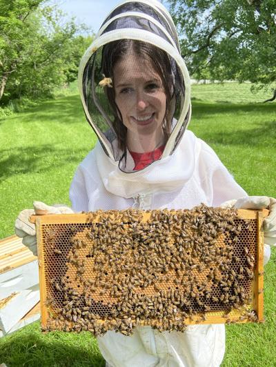 Busy bee: Bellevue resident to spend next year promoting insect ...