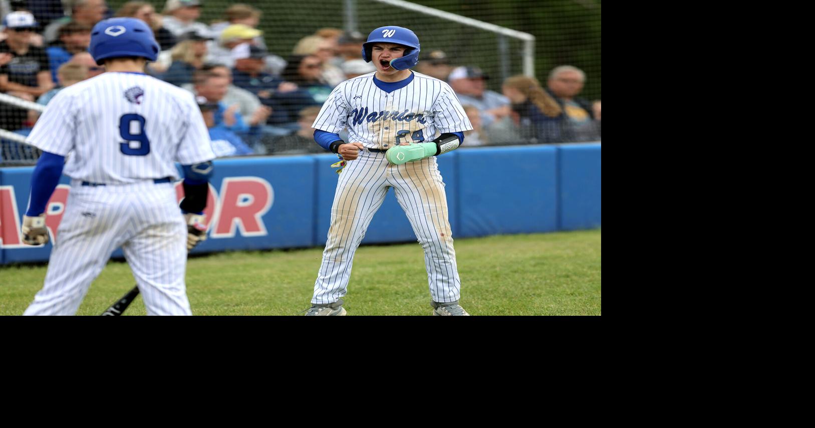 Telegraph Herald All-Area Baseball Team first-team loaded with all ...