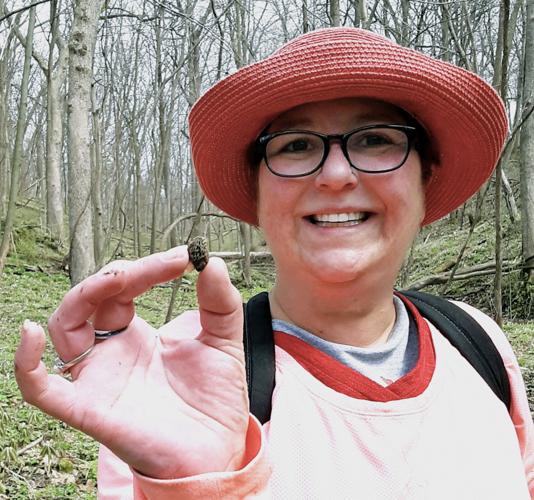 Eyes on the prize: Morel enthusiasts hunt for the elusive fungi ...