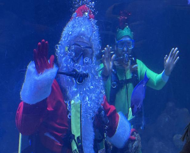 Scuba-diving Santa draws hundreds to Dubuque museum | Tri-state News ...