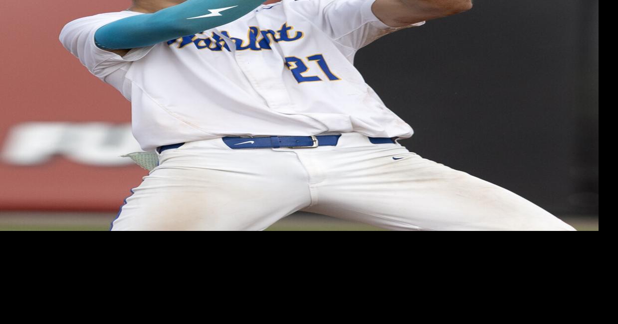 Prep baseball: Potent bats power Wahlert to state championship game ...