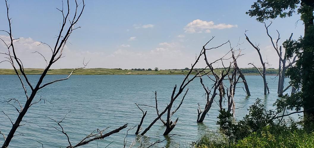 Koch: South Dakota: Edge and transition | Features | telegraphherald.com