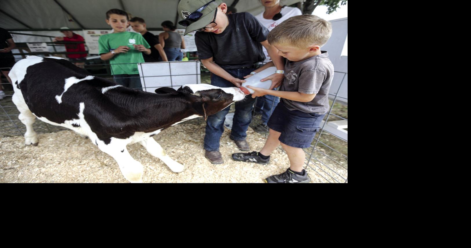 Kids get to be farmers for a day at Delaware County Fair | Tri-state ...