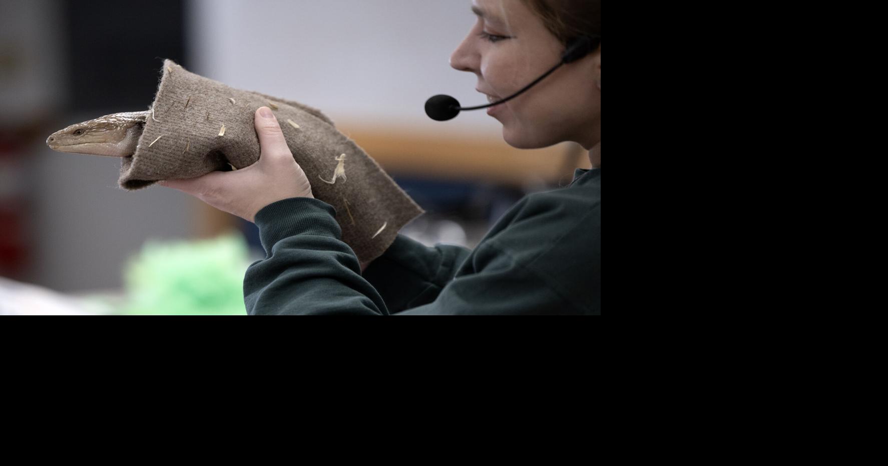 Creatures slither into Hopkinton Community Center | Tri-state News ...