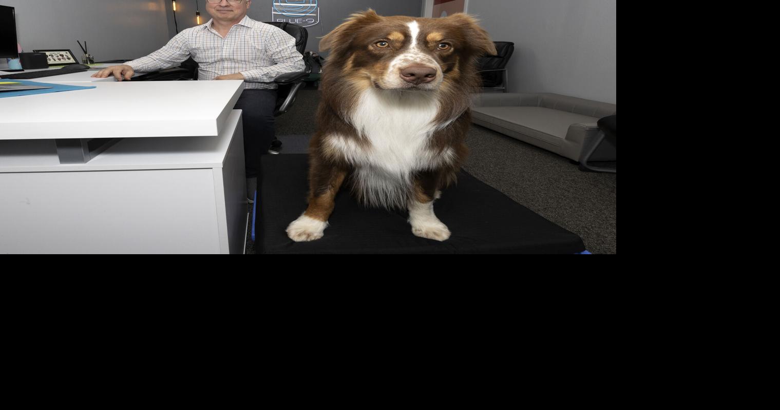 Maquoketa pet-products business keeps 'klimb'-ing | Tri-state News ...