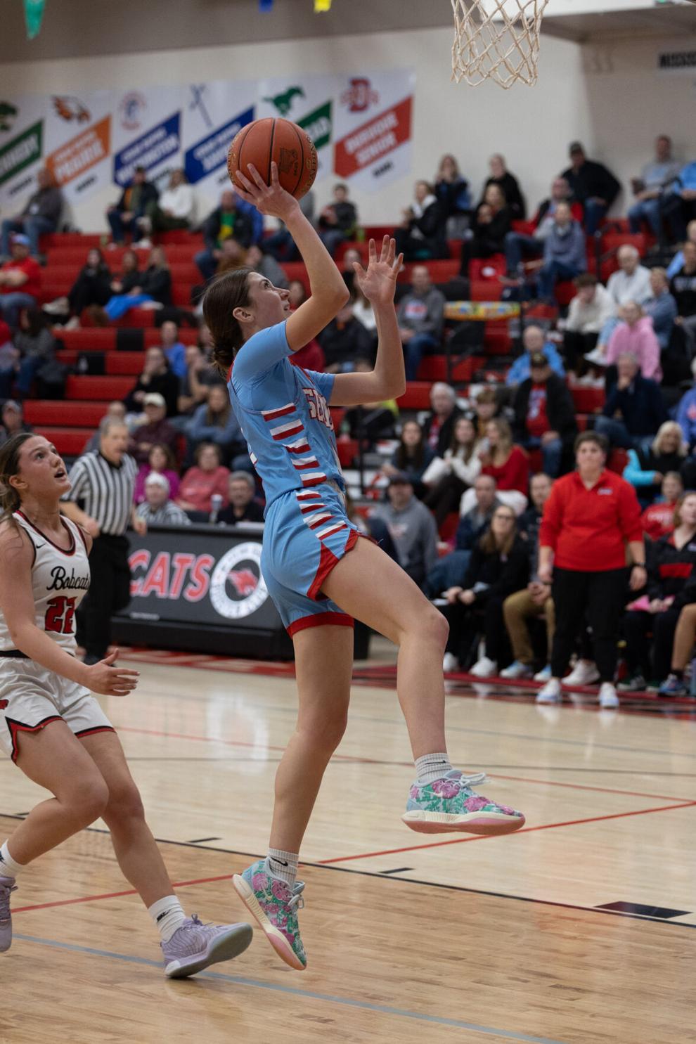 Girls prep basketball: Weber leads Senior past Western Dubuque | Local ...