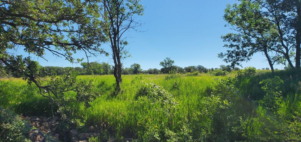 Koch: At Pipestone National Monument the earth humbly and quietly gives ...