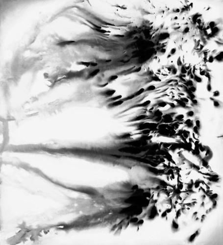 A splash of abstract | Dubuque News | telegraphherald.com