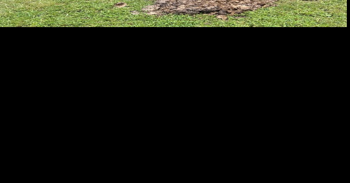 SW Wisconsin ceremony returns remains of woman who died 80 years ago to ...