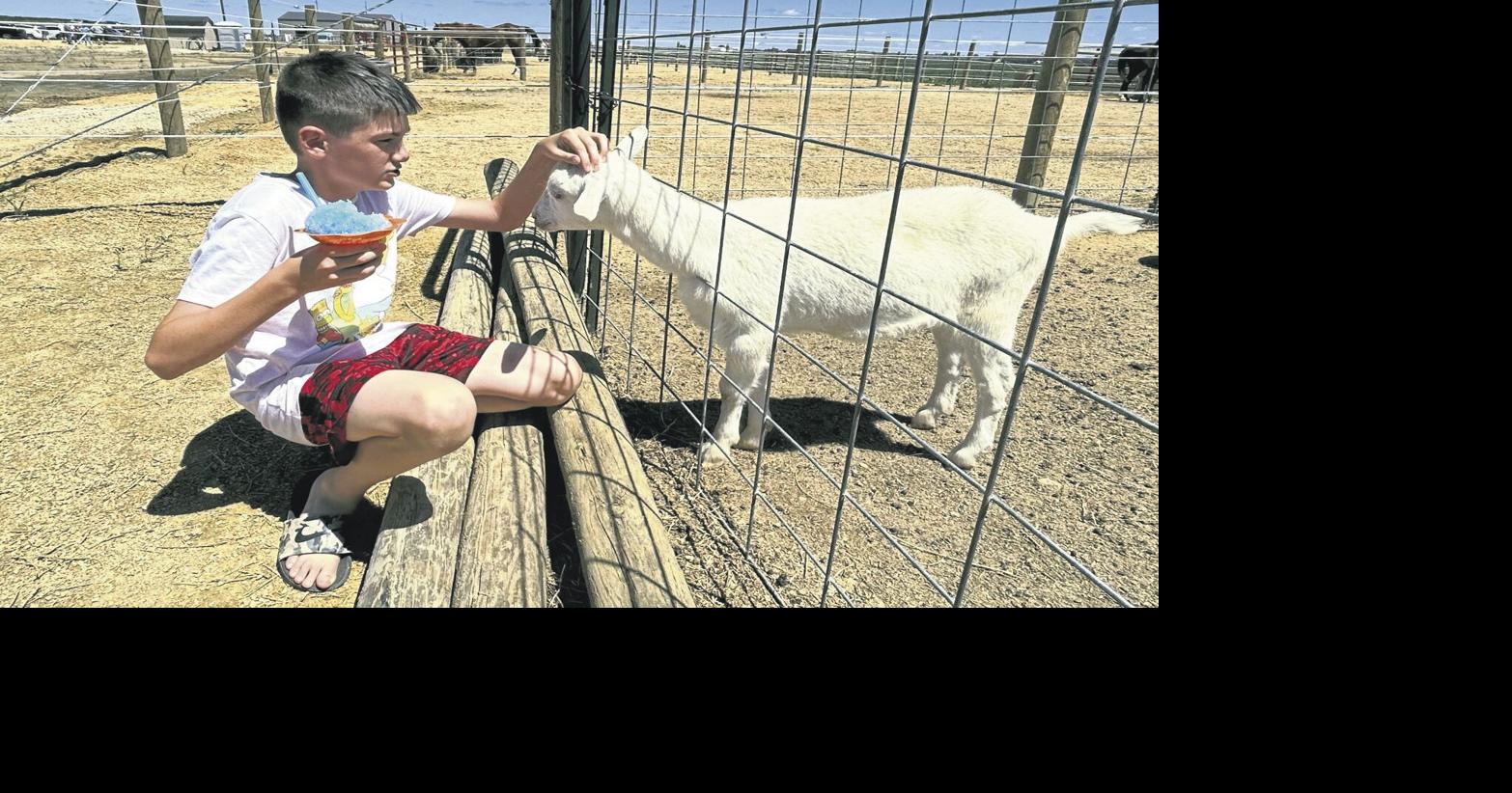 Local adaptive horseback riding program celebrates new, permanent home ...