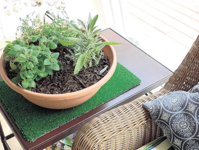 Medicinal gardening | Features | telegraphherald.com