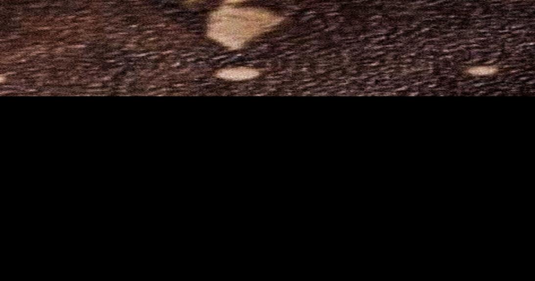 Raymond U. Schlampp | | telegraphherald.com