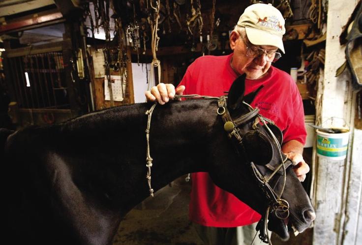 Championship reins near end for hackney pony trainer | Tri-state News ...