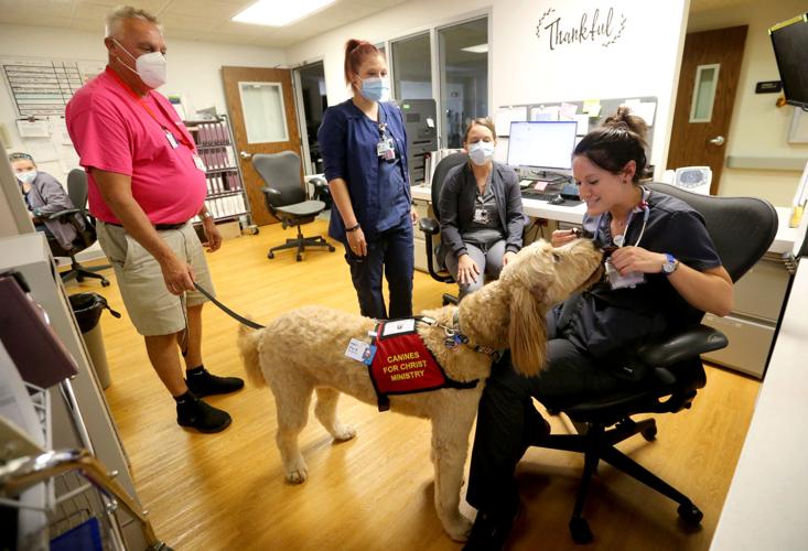 Therapy dogs help with worker burnout at Dubuque hospitals | Tri-state ...