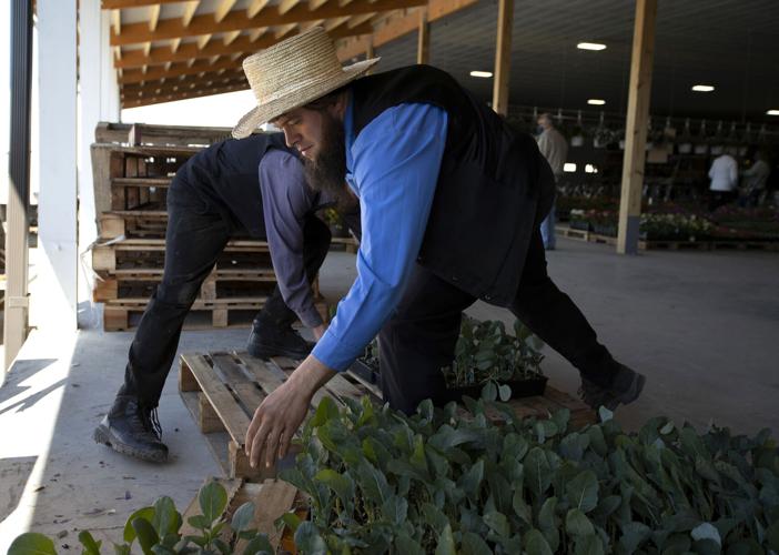 Images: Amish country | Features | telegraphherald.com