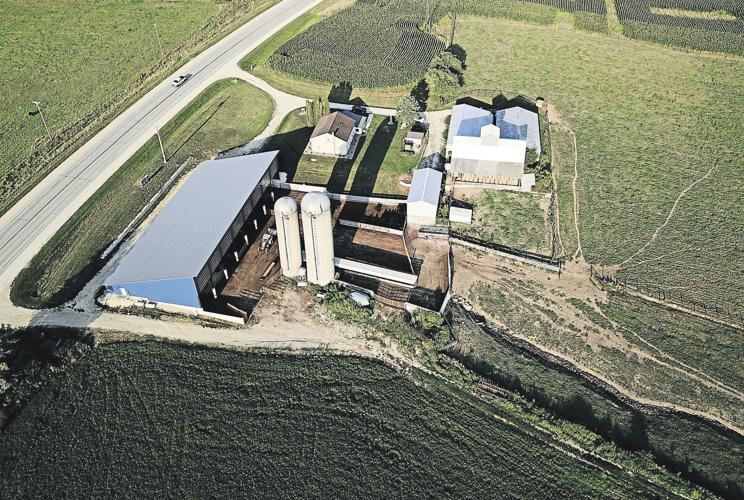 TH Farm Families of Year: Guttenberg beef farmer builds happy life amid ...