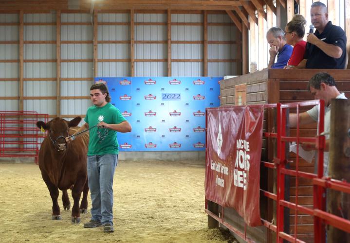 Delaware County Fair livestock sale teaches kids responsibility ...