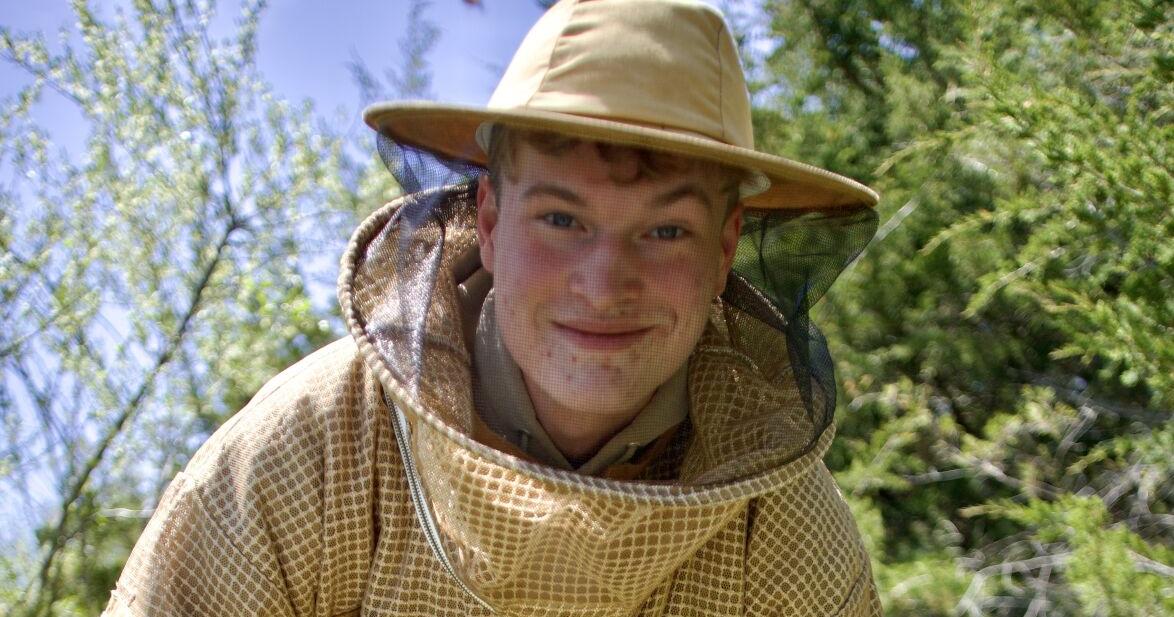 Bee Good: From ancient Egypt to Midwest agritourism, local apiaries are ...