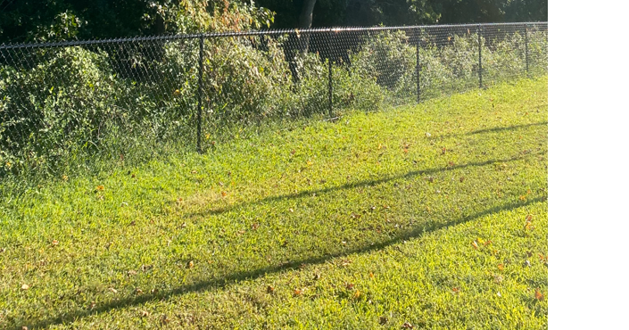 Sandhill Fields refuerza la seguridad con nuevo vallado en sus ...