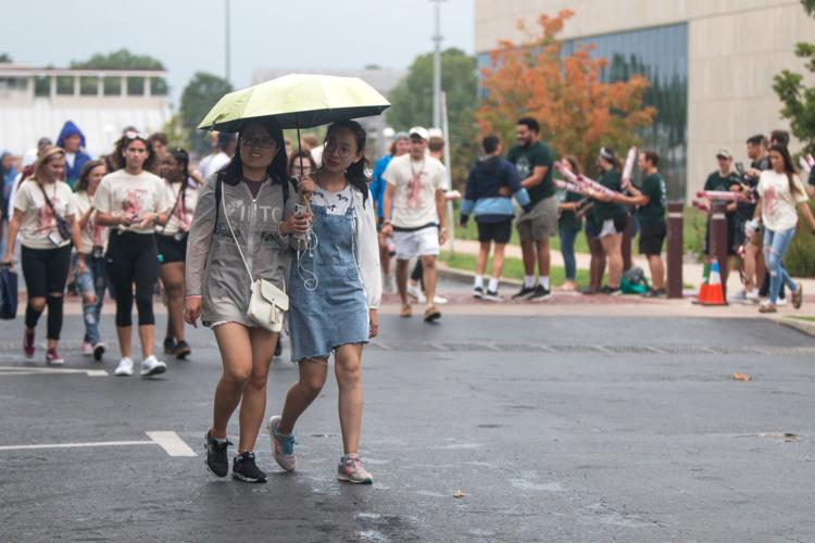 The Bears are back | Life | the-standard.org