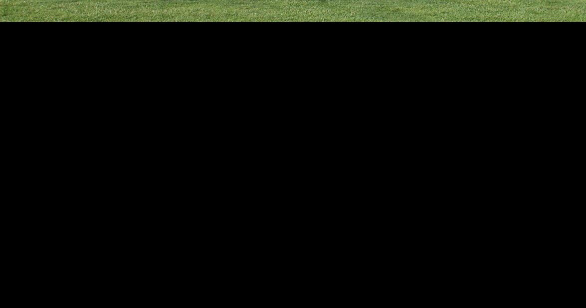 Statues found across campus | | the-standard.org