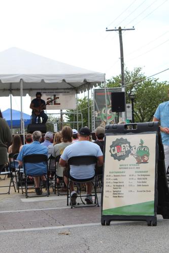 Springfield celebrates the weekend with festivals and fun | Gallery ...