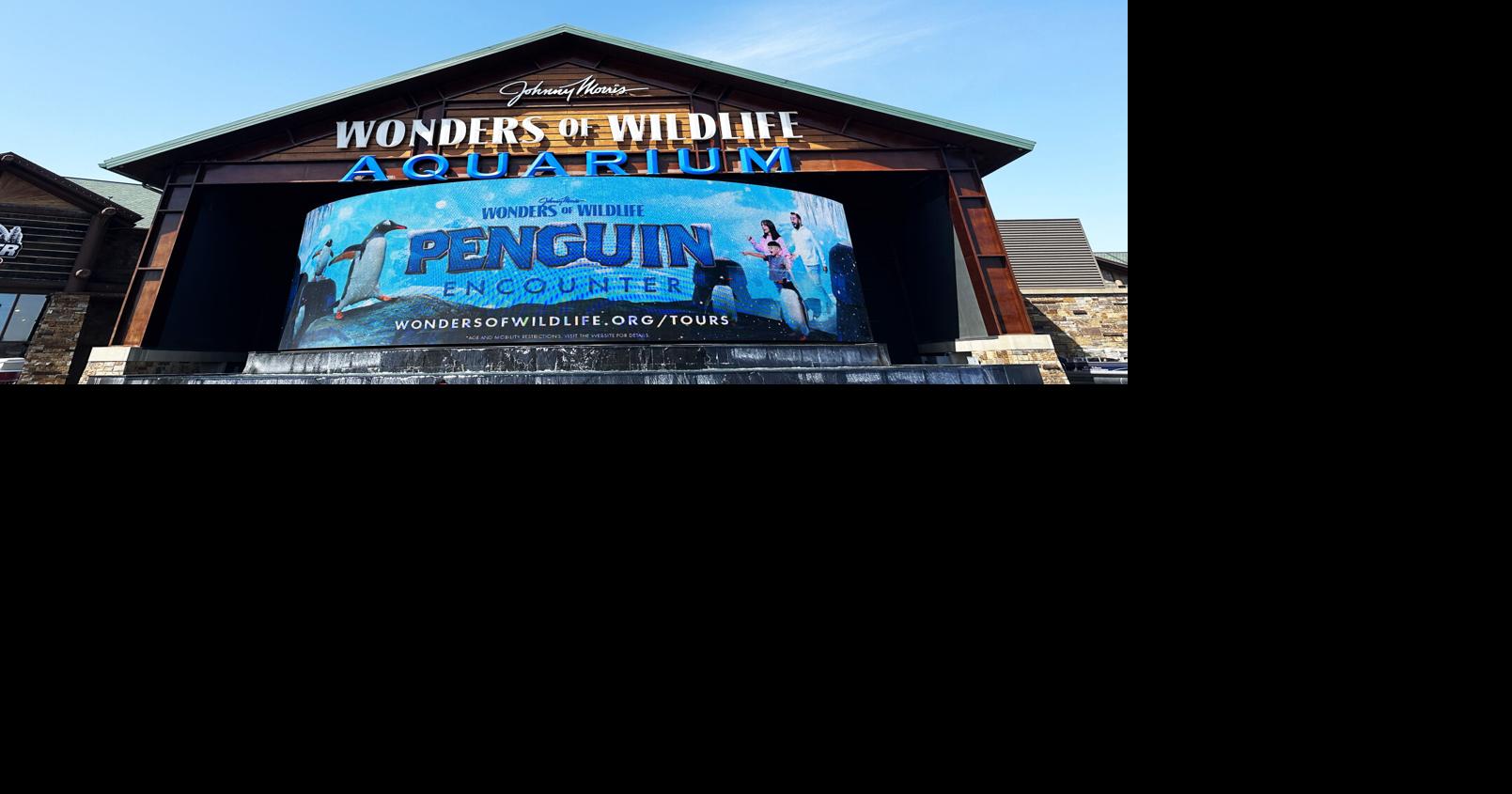 W is for Wonders of Wildlife: "America's Best Aquarium" awarded to ...