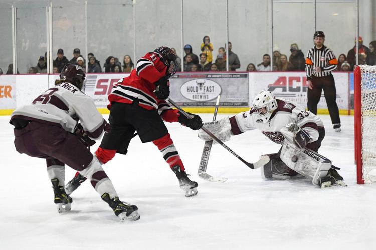 Halfway through season, Ice Bears tell different tales | Sports | the ...