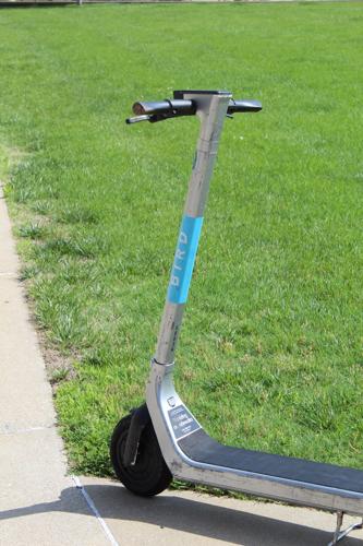 Bird scooters make navigating campus easier | Life | the-standard.org