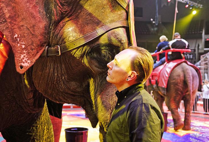 Carden International Circus at JQH Arena draws animal rights protests ...