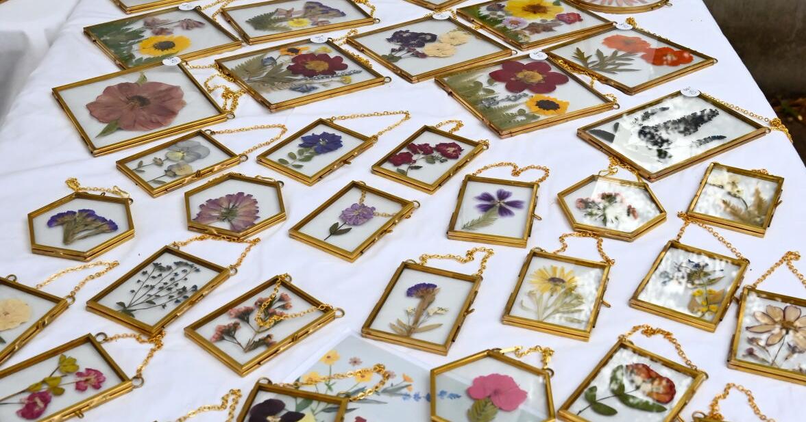 Five autumn festivals to visit in the Springfield area | News | the ...